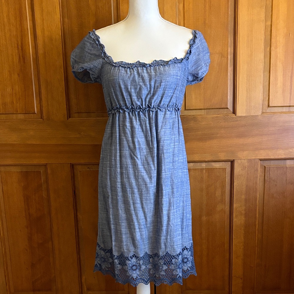Max Studio Blue Cottagecore Dress - Gem